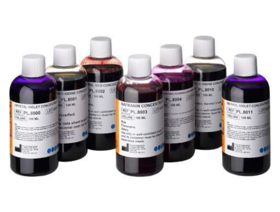 Gram Staining Kit – Complete Reagent Set for Microbiology Labs | Microbiological Supply ...